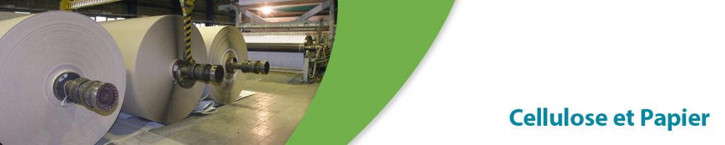 Cellulose-et-Papier - PMC Ouvrie
